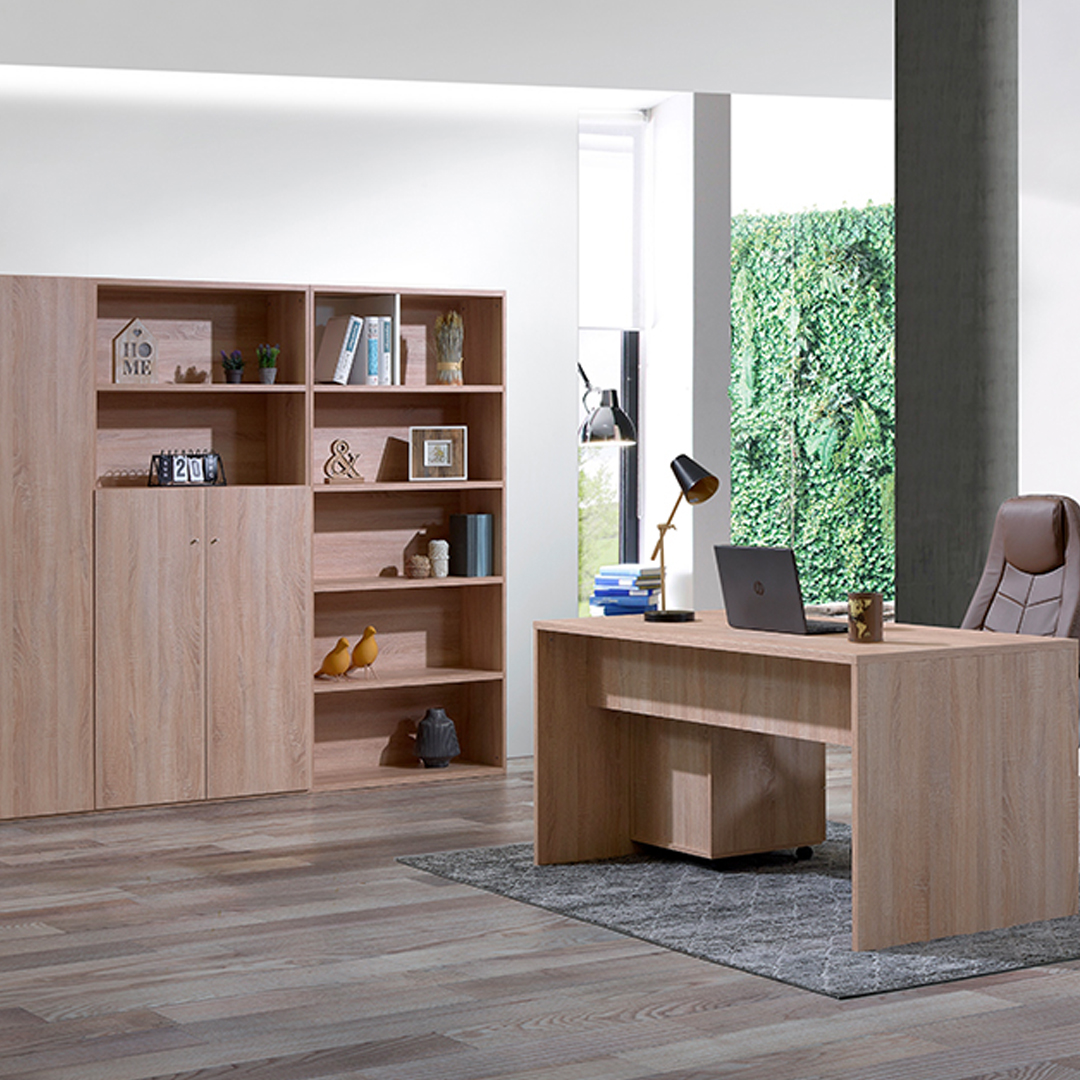 Como montar uma biblioteca em casa? - O Cantinho da JOM